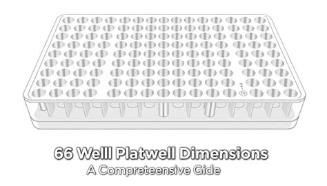 96 Well Plate Well Dimensions A Comprehensive Guide