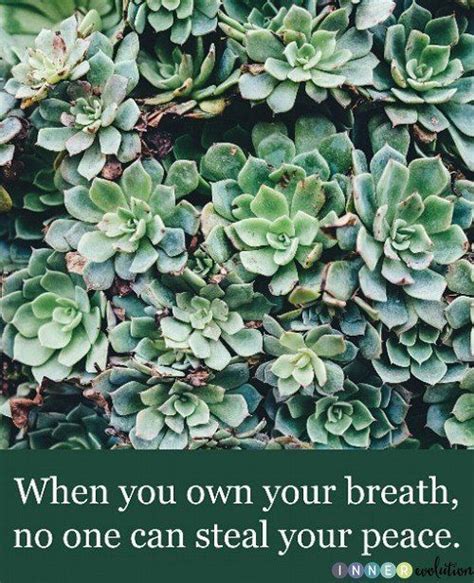 Stephanie Modler Clinical Social Worktherapist Frederick Md 21701