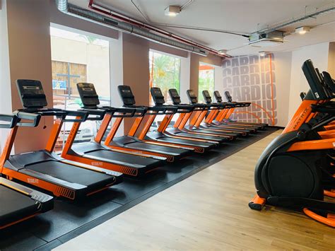 Gimnasio Basic Fit Elche Calle José García Ferrández