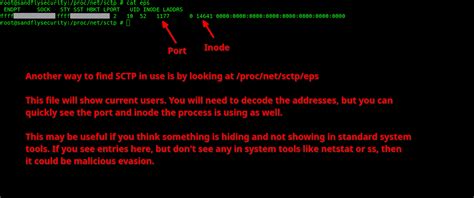 Sctp Protocol Attack Risks On Linux Sandfly Security