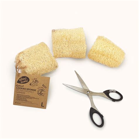 Loofah Demibumi Id