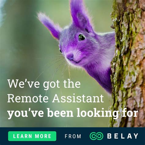 Belay On Linkedin Belay Virtual Assistants And Accounting Services To