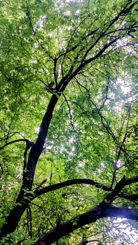 정주성 나와 지렝이 네이버 블로그