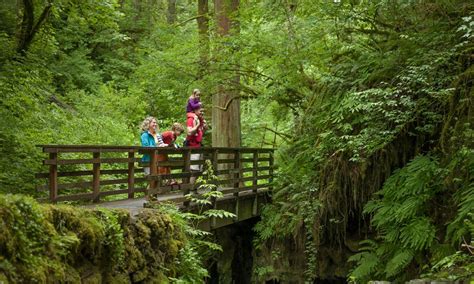 Forest Park The Official Guide To Portland