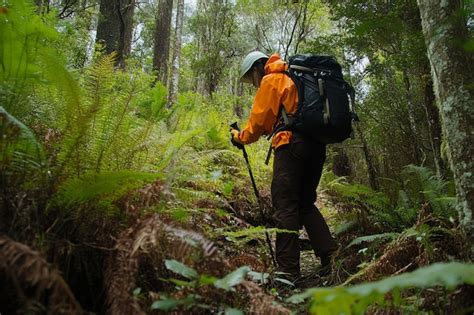 Surveying Vegetation Encroachment On Trails Ar Generative Ai Premium Ai Generated Image