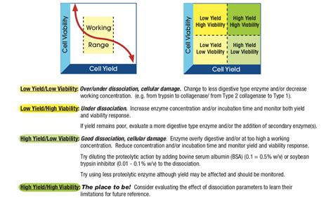 Matching A Specific Dissociation Enzyme To A Celltissue Catsclaw