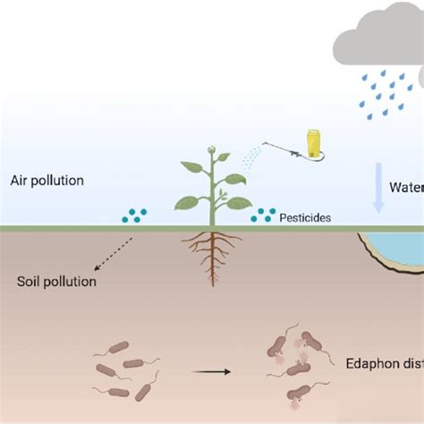Photochemical Degradation Pathways Of Pyrethroids [69] Download Scientific Diagram