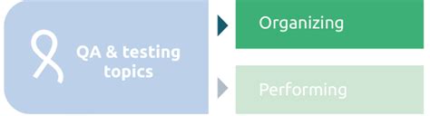 introduction to organizing qa and testing topics tmap