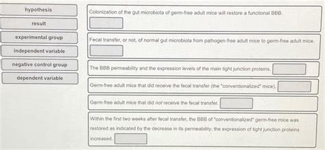 Solved Hypothesis Colonization Of The Gut Microbiota Of