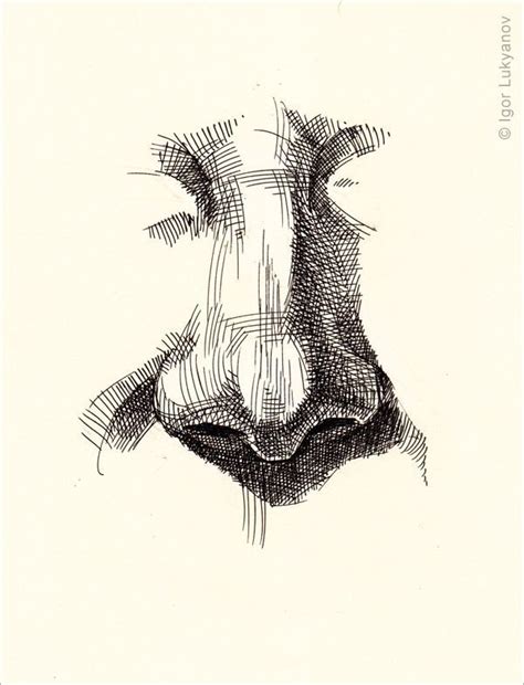 Best 13 How To Draw Using Cross Hatching Techniques Portrait Drawing