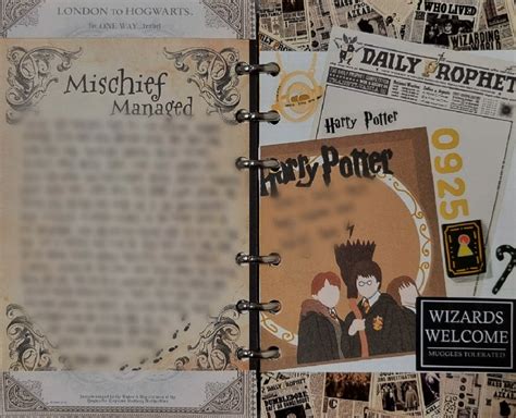 해리포터 다꾸🪄 콜리 Colley