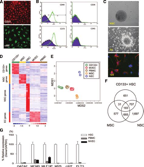 Gene Expression Microarray Analysis Of Three Somatic Stem Cells Pbmcs Download Scientific