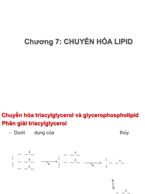 Chuong 7. Chuyen Hoa Lipid | PDF