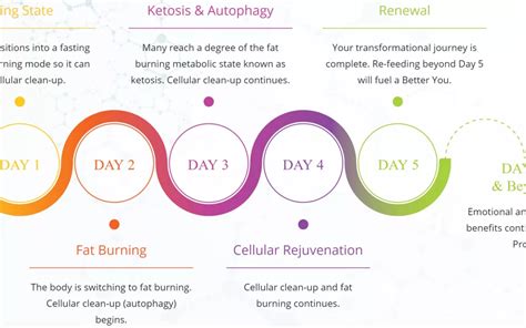 Prolon Fasting Mimicking Diet Cure To Visceral Fat