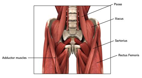 Lower Body Prep Hip Mobility Exercises