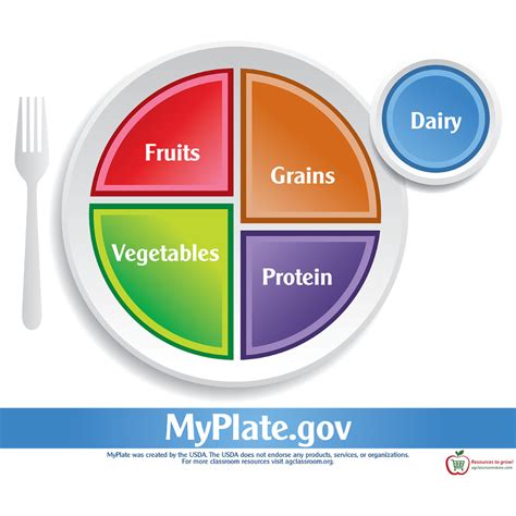 Myplate Activity Poster Curriculum Matrix Kansas Foundation For