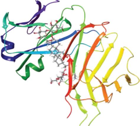 Molecular Docking Simulation Of Bioactive Compound Key Target A