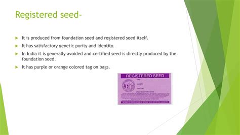 Seed And Its Classes Pptx