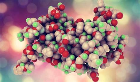 Hormonas Del Estrés