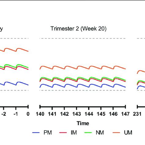 Modeled Fluoxetine And Norfluoxetine Concentrations In Pregnancy For