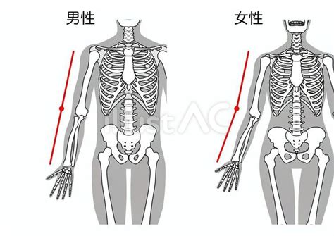 Free Vectors With Carrying Angleconveying Angle Guide