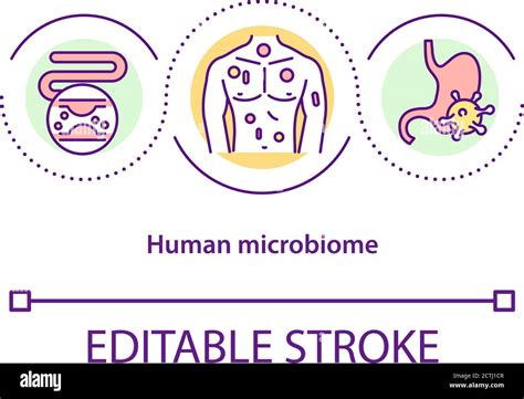 Human Microbiome Concept Icon Stock Vector Image And Art Alamy