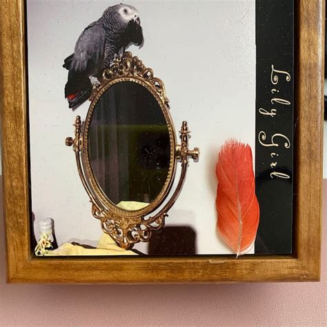 Ceramic Popcorn Kernel Storage Canister With Cork Lid 11 Ounce 3 Choices Of Popcorn Kernels Etsy