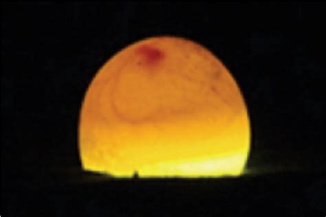 Figure 3 From A Machine Vision System For Detecting Fertile Eggs In The