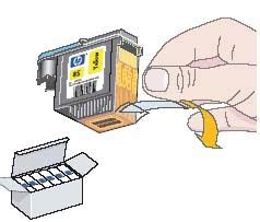 Hp Designjet Series Printers Printer Setup Hp Customer Support