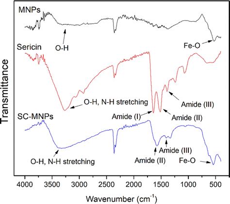 Ft Ir Spectra Of Uncoated Mnps And Sc Mnps Download Scientific Diagram