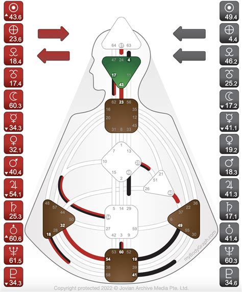 Hd101 The 5 Human Design Definition Types Single Split Triple