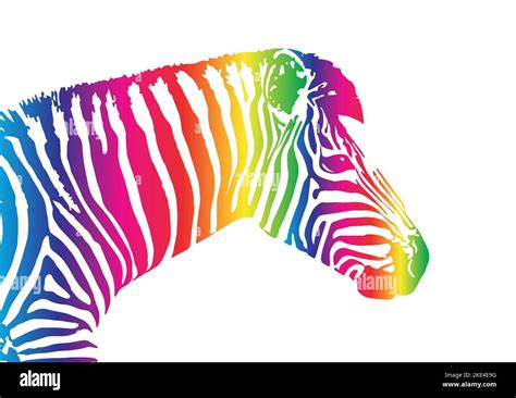Vector Image Of Zebra Head On White Background Easy Editable Layered Vector Illustration Wild