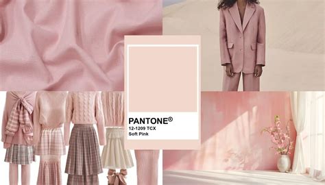 Warna Soft Pink Seperti Apa Ini 10 Perpaduan Warnanya
