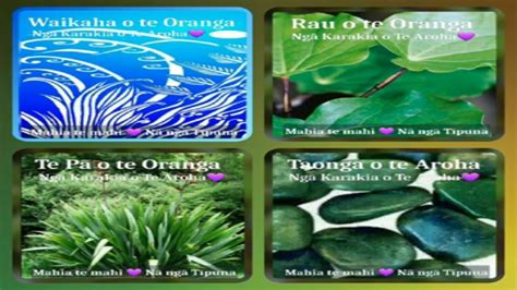 Ngā Karakia O Te Aroha💜 56 He Kohinga Karakia Mo Te Mahi👏 Youtube