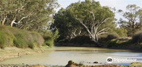 Things To Do In Innamincka In 2024 Top Attractions Local Food