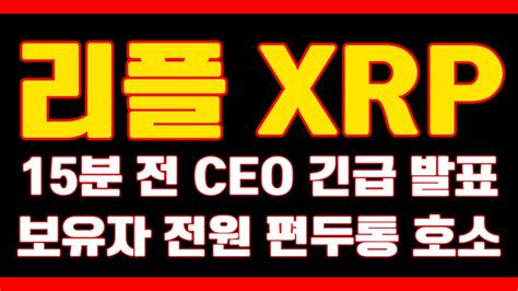 리플 Ceo 갈링하우스 충격 고백xrp Youtube