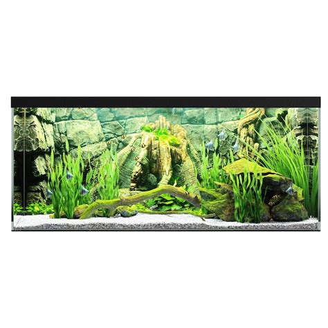 Ilustración 3d De Acuario Aislado Sobre Fondo Blanco Foto Premium