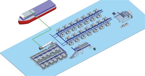 Complete Processing Line For Herrings Agriculture Aquaculture