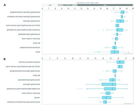Gene Expression Profiling Of Fpr1 And Fpr2 Mrna Expression Profiling Download Scientific
