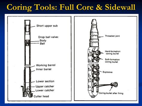Ppt Dr Tark Hamilton Camosun College Powerpoint Presentation Free