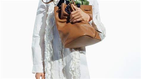 Good Looks Ambrea Cosmos