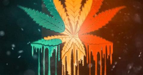 Adsfd Album On Imgur