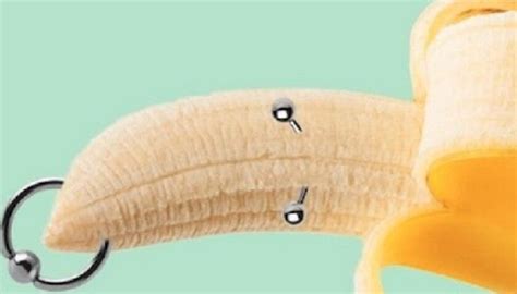 The Origin Of The Prince Albert Piercing History And Curiosities Behind The Name