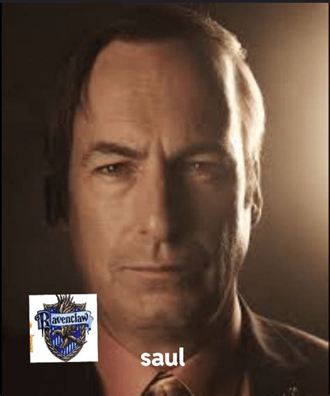 Sorting Bb Characters Into Hogwarts Houses Rokbuddychicanery