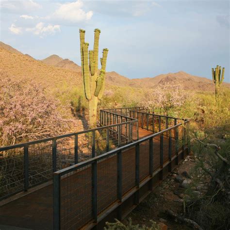 Gateway To Mcdowell Sonoran Preserve