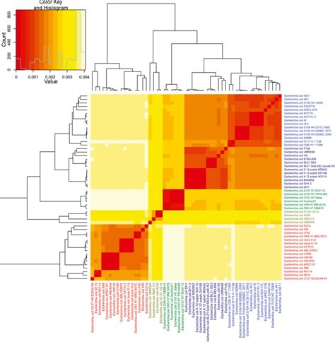 N Based Heatmap The Heatmap Shows A Hierarchical Cluster Analysis Of