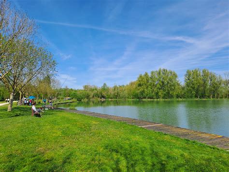 Lac De Frace Commune Daigrefeuille Daunis 17290