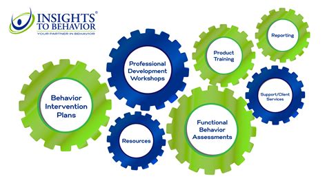 Overview Insights To Behavior