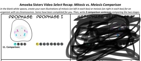 Amoeba Sisters Video Select Recap Mitosis Vs Meiosis Comparison In