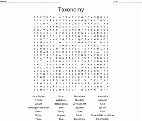 Biological Classification Worksheet Answers Proworksheet